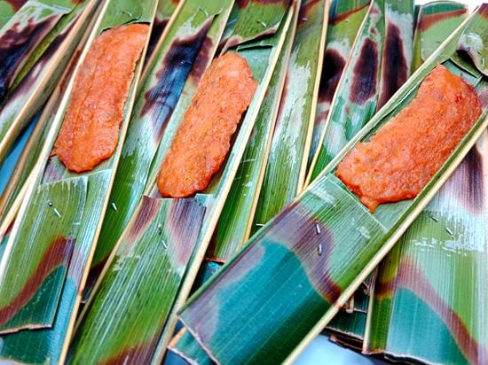 Gambar Suriy – Canva