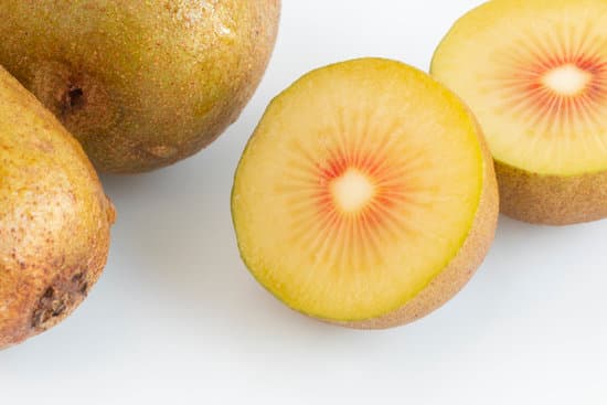 Beatrice Tan – Canva