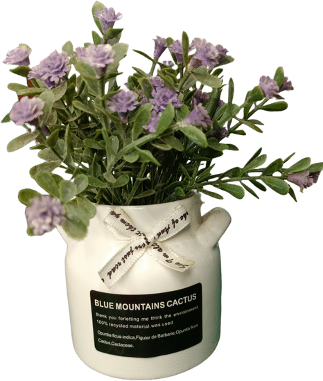 Icha Riska – Canva