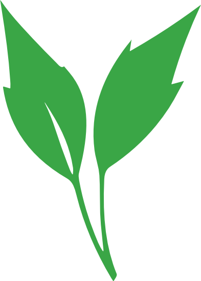 Union Studio – Canva