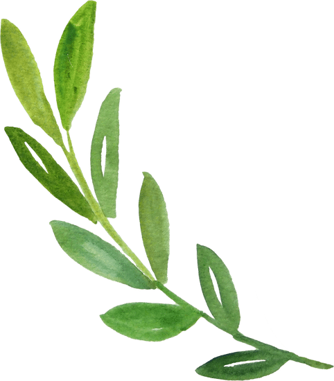 ภาพของThanawan – Canva