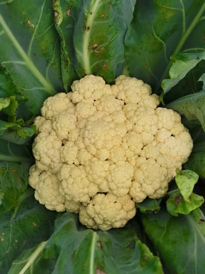 Jennie Cabrera 's Images – Canva