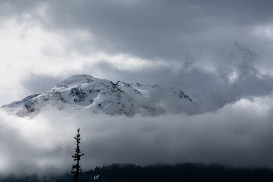 Whitney Barkman – Canva