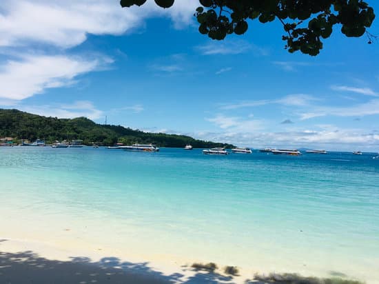 ภาพของDaarsan – Canva