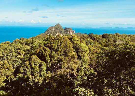 ภาพของDaarsan – Canva