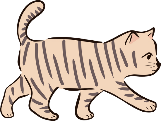 Cyrus Fong 的影像 – Canva