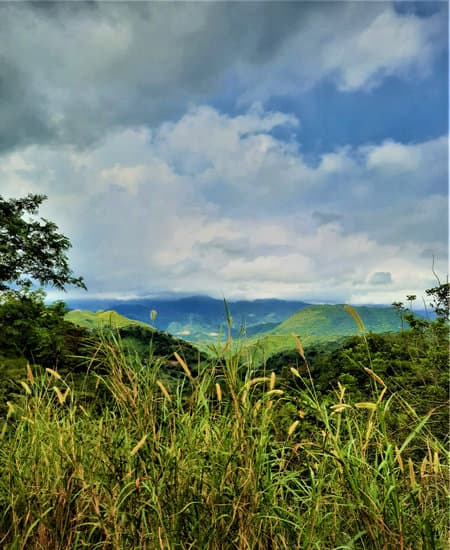 Likha by Zhally – Canva