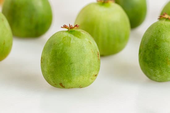 Beatrice Tan – Canva