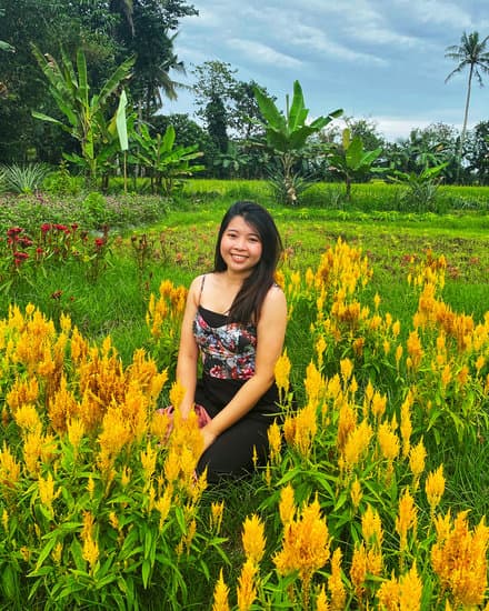 jenry's Images – Canva