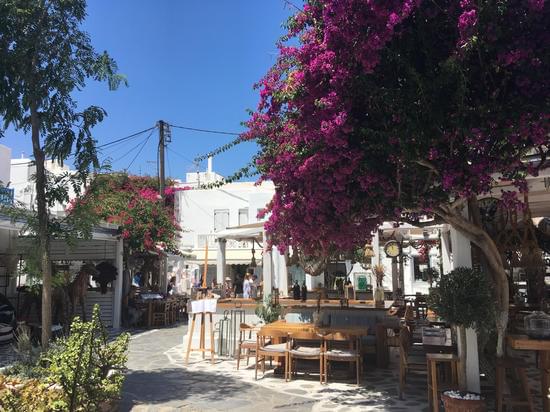 Nadia Key's Images – Canva