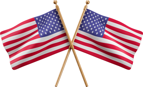 Elvia Trevisano – Canva