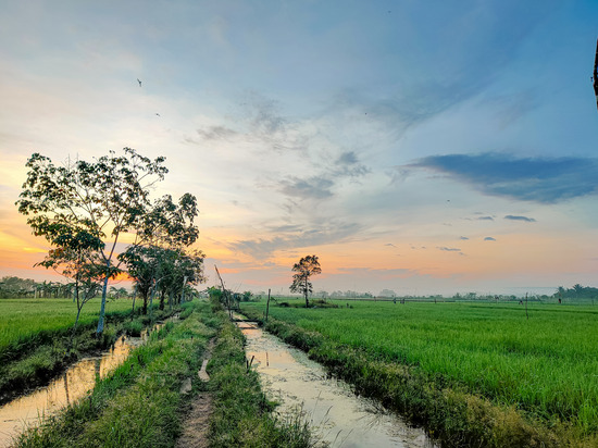 Febry Dahyani's Images – Canva