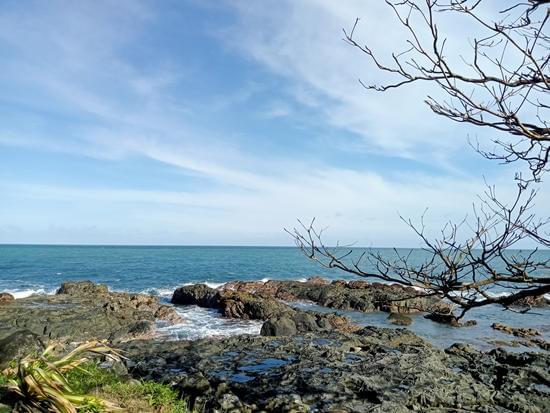 Animor Ertsellos's Images – Canva