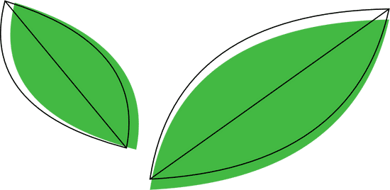 Hình ảnh của Thu Ly – Canva