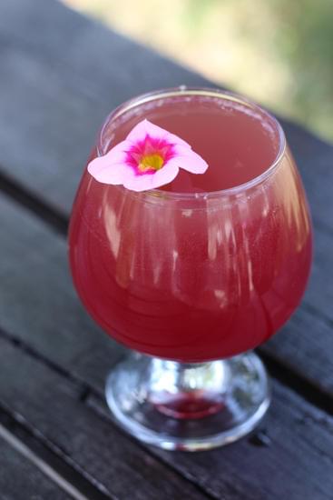 Diondra Filicetti's Images – Canva