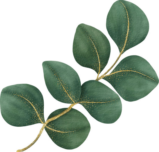 BEN&BEN design – Canva