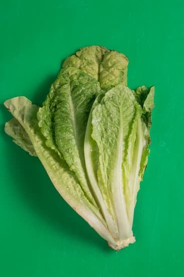 Imágenes de Elit studio – Canva