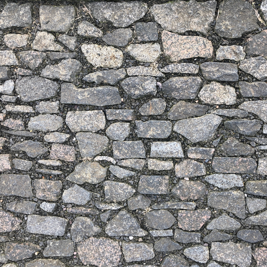 Pixel Phoenix Designs – Canva