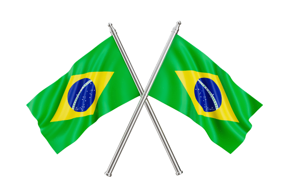 Elvia Trevisano – Canva