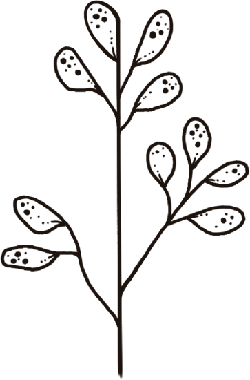 Designs by Chey – Canva