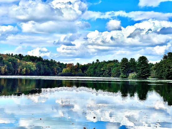 Jen Chicoine's Images – Canva