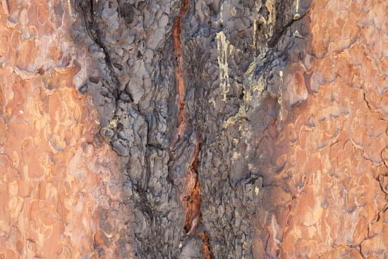 Simon Greig – Canva