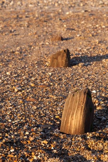 Simon Greig – Canva