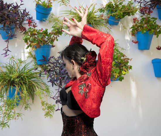 Fernando Cortes – Canva