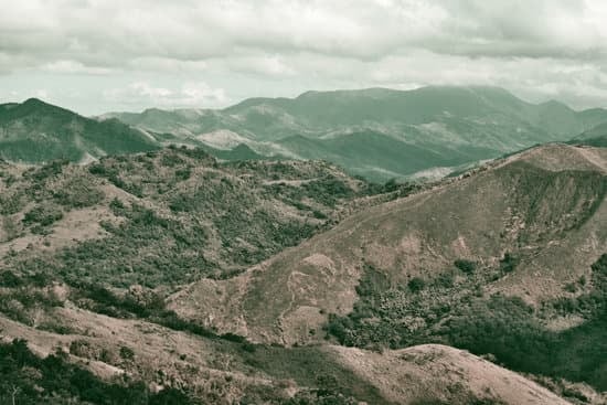 Catherine Paredes – Canva