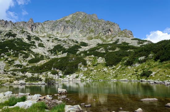 Emil Ivanov – Canva