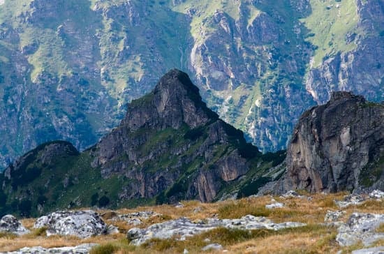 Emil Ivanov – Canva