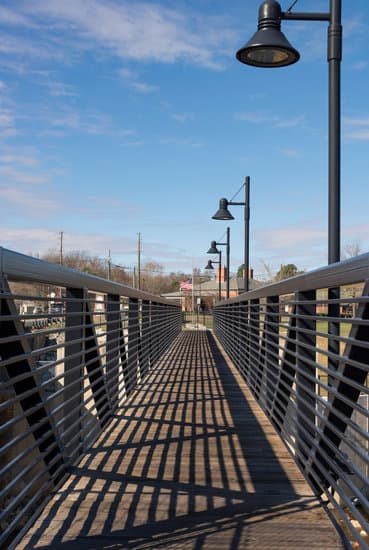 Rex Williams – Canva