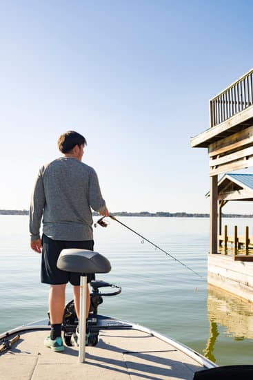 Rex Williams – Canva