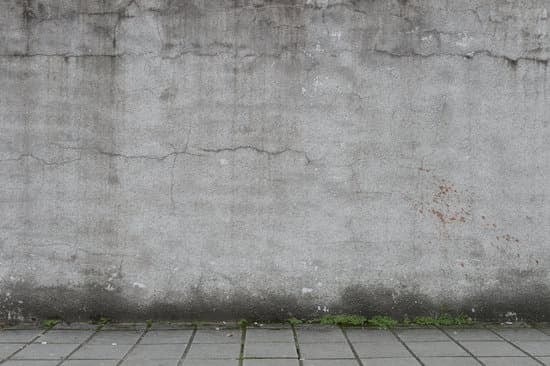 Robbin Lee – Canva