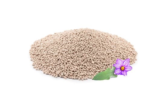 Îngrășăminte minerale cu azot – IgrasaminteMD