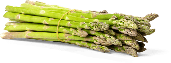 DAPA Images – Canva