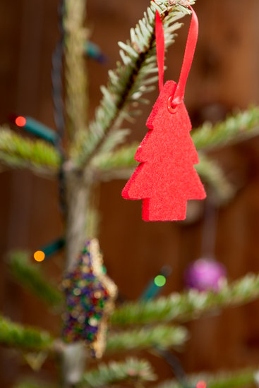 Simon Greig – Canva