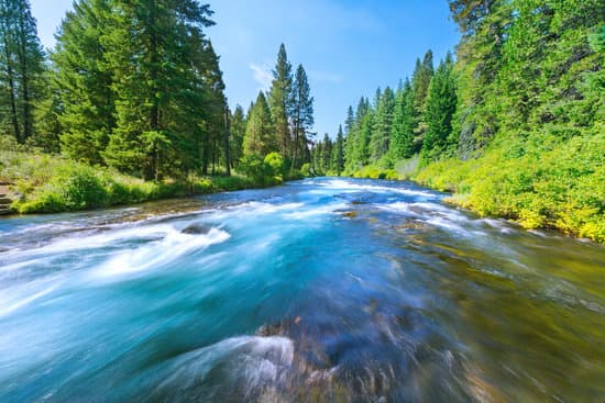 Jared Hail – Canva