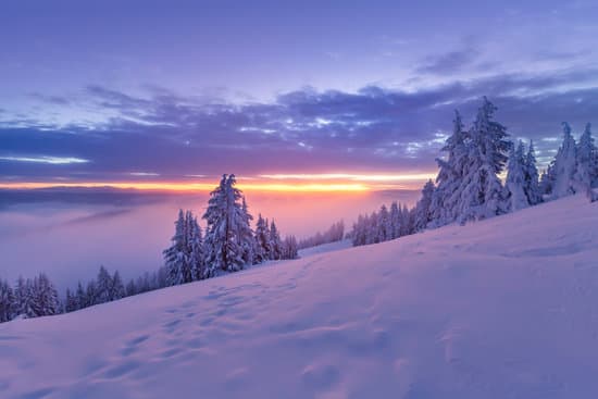 Jared Hail – Canva