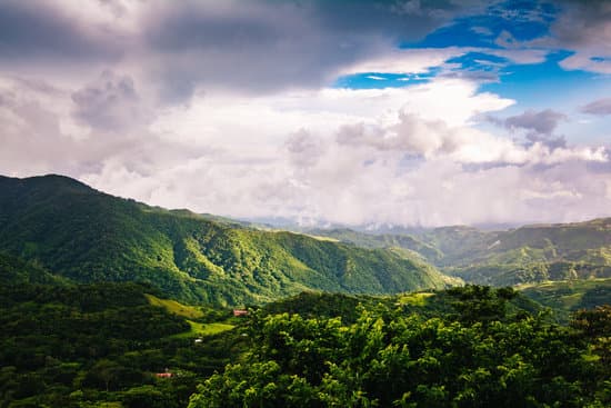 James Lester – Canva