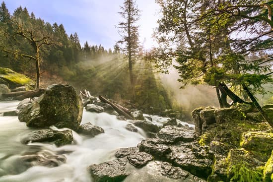 Jared Hail – Canva