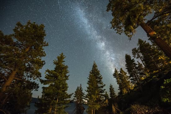 Justin Katz – Canva