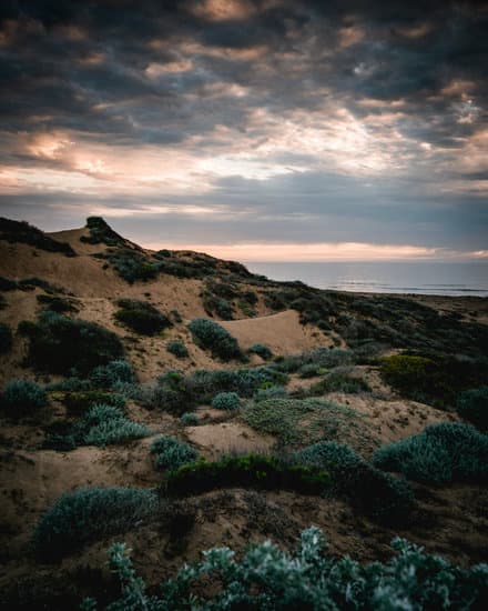 James Lester – Canva