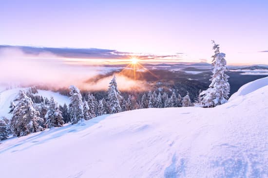 Jared Hail – Canva