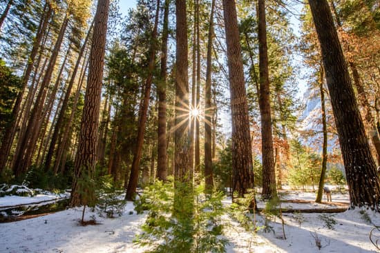 Justin Katz – Canva