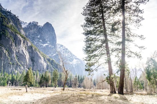 Justin Katz – Canva