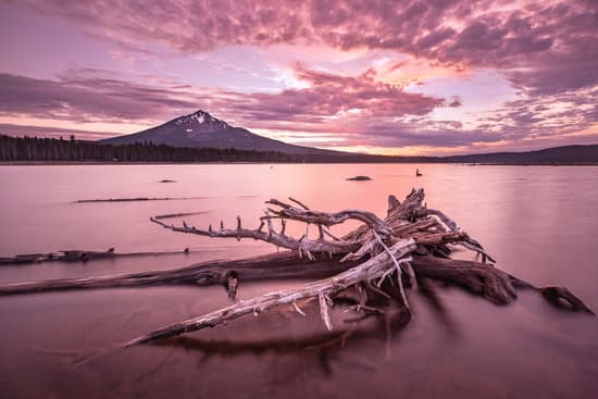 Jared Hail – Canva