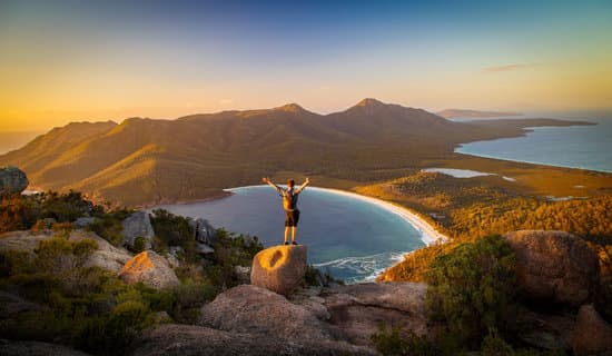 Nathan Chilcott – Canva