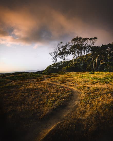 James Lester – Canva