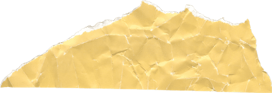 Canva Creative Studio – Canva